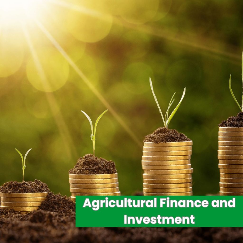 Agri-Business – Jamaica AGRI Business Investment Forum